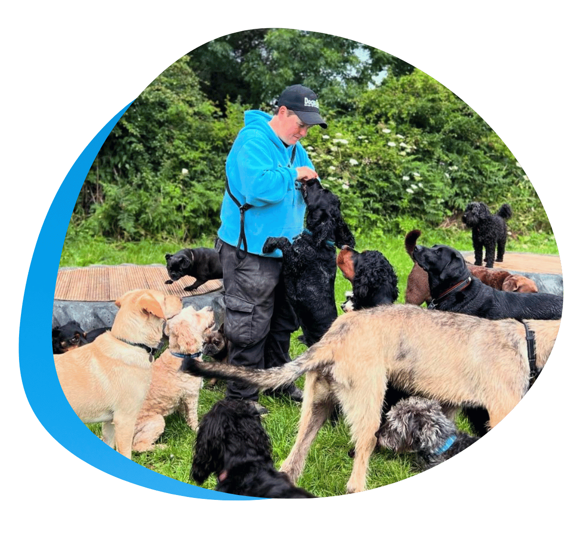 About Dogs Go | Outdoor Enclosed Dog Parks