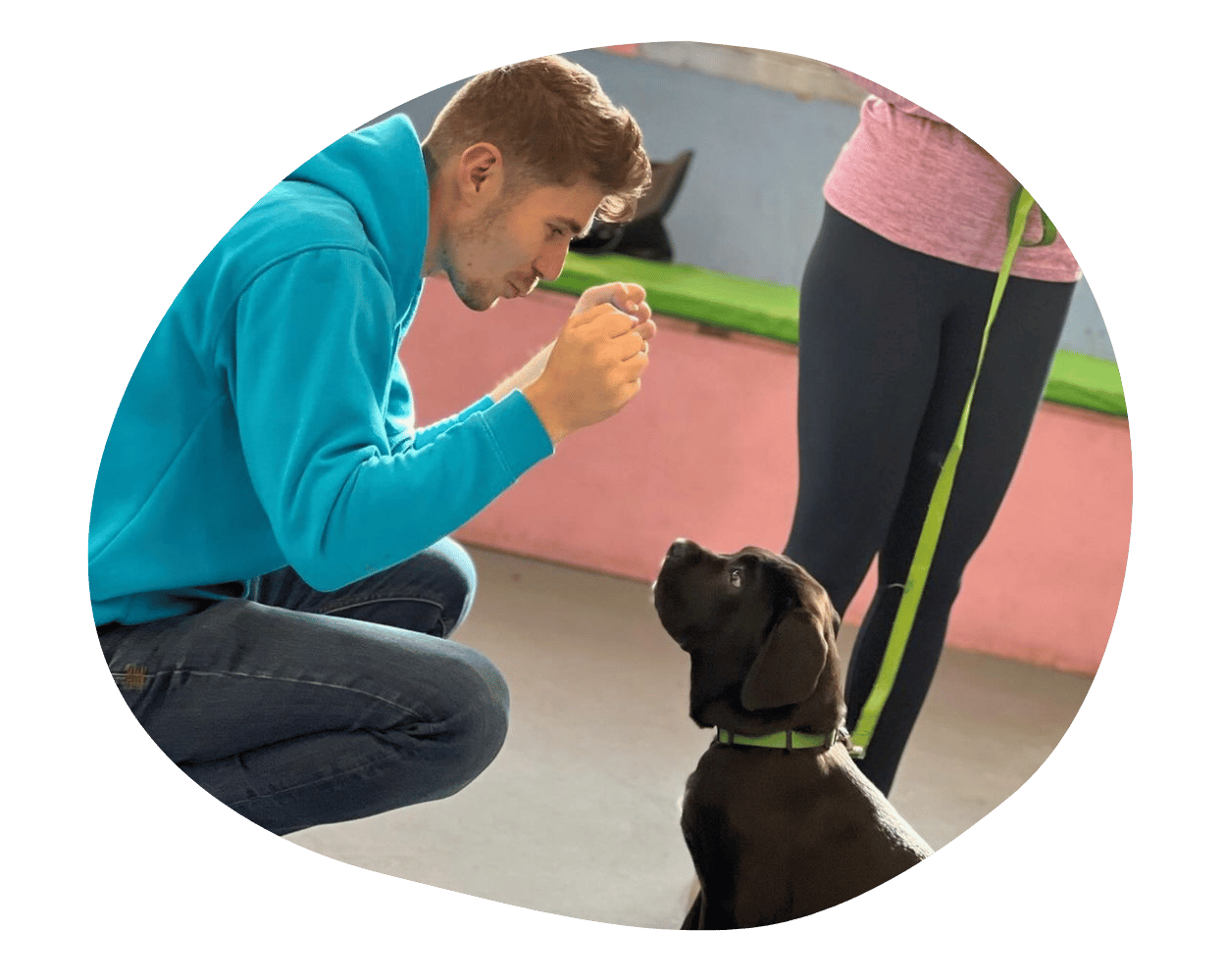 Qualified Dog and Puppy Training Wirral | Dogs Go
